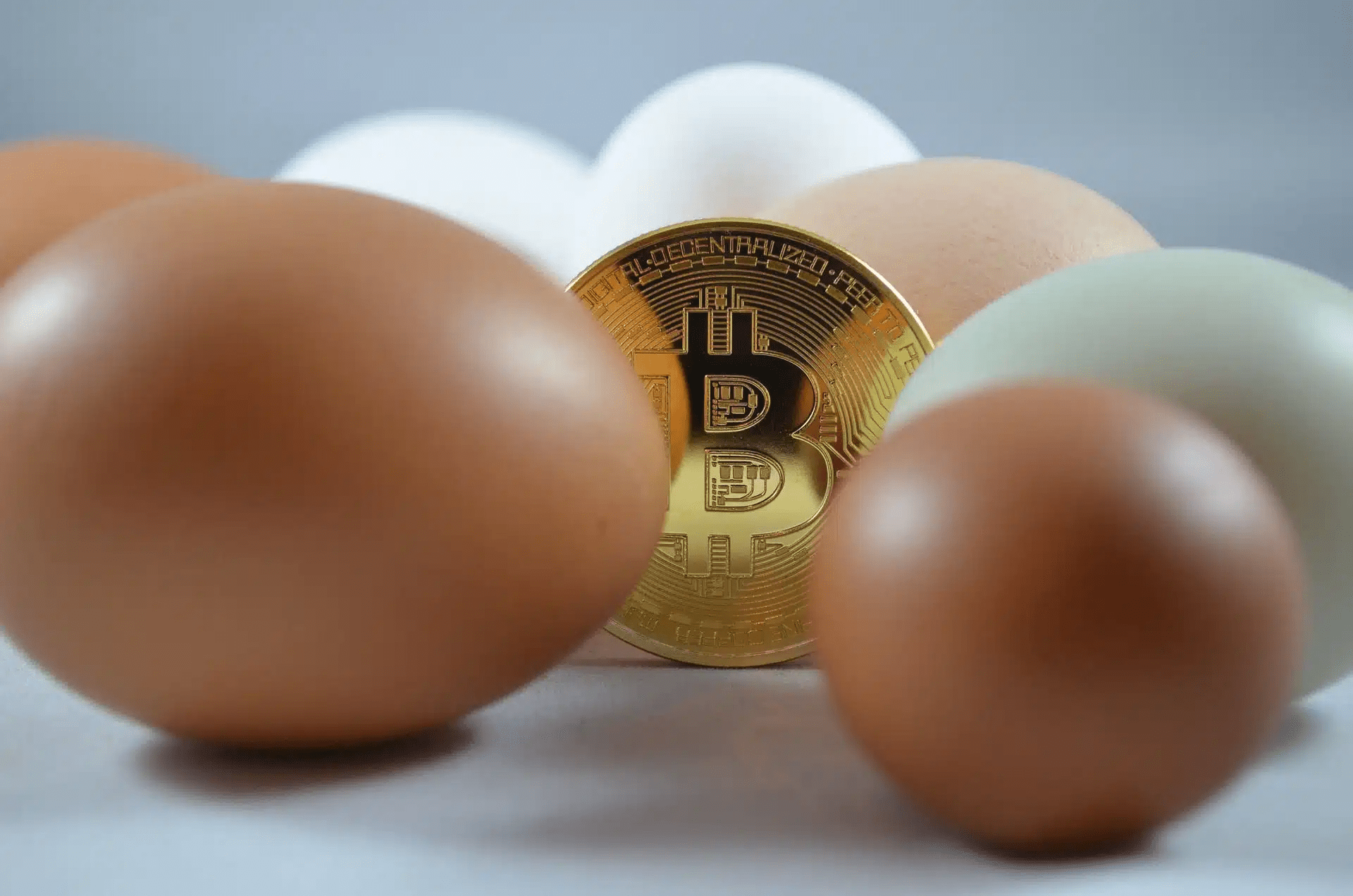 Rising price of a dozen eggs becomes a joke among Bitcoin in | PENNY MY EGG WASE on Binance Square