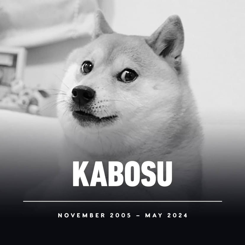 Run along the rainbow, we won't forget you Doge meme: Kabos ...