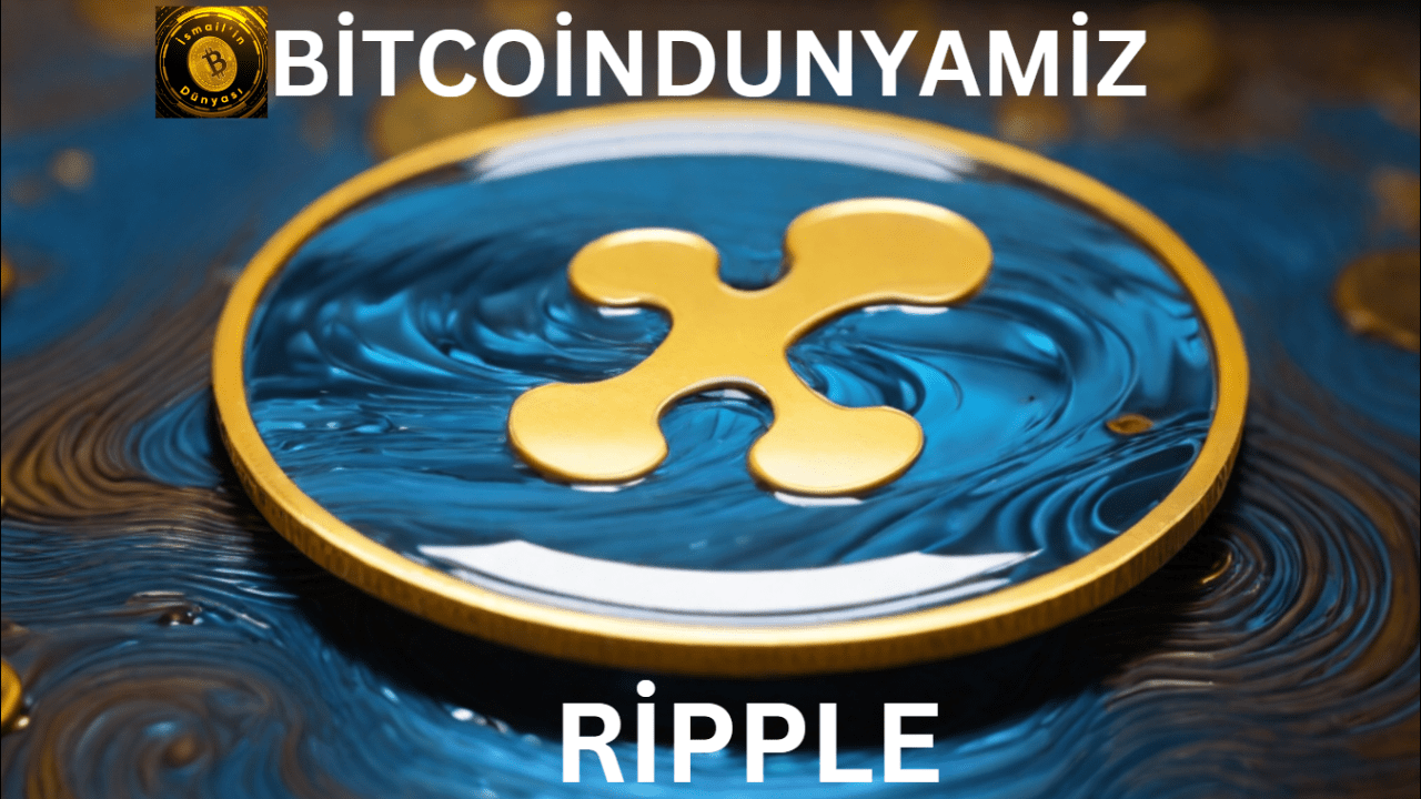 Ripple CEO Brad Garlinghouse Claims that the US Government is Targeting Tether | Bitcoindunyamiz ...