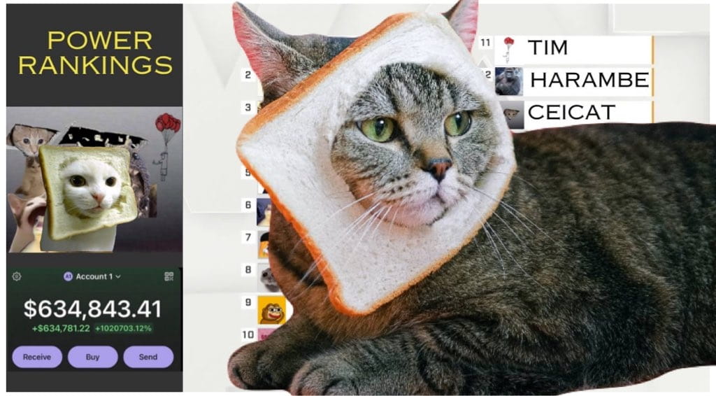 pepe $BOME Brothers, come and see the bread cat meme on the | 打狗装甲车 on Binance Square