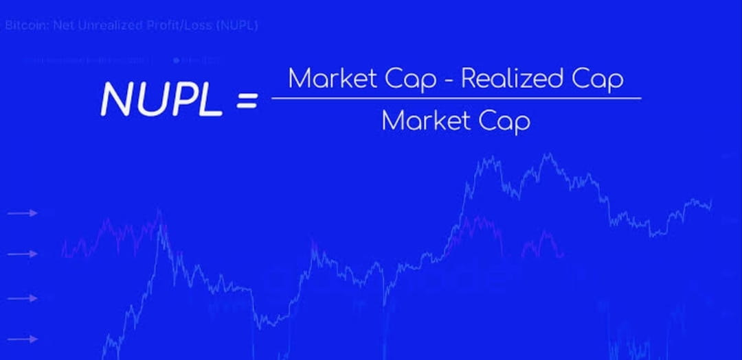 What's is #NUPL (Net Unrealized Profit/Loss) ? NUPL (Net Un | bizmentor ...