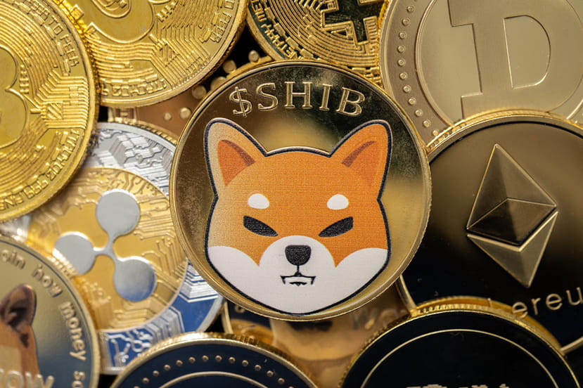 Shiba Inu coin price prediction: Should you brace for anothe | follow my profile on Binance Square