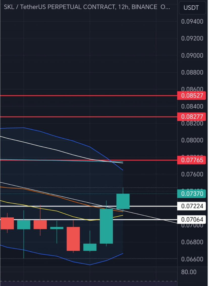 Symbol: #SKL -- Future / Spot Entry signal: BUY Entry price | Crypto ...