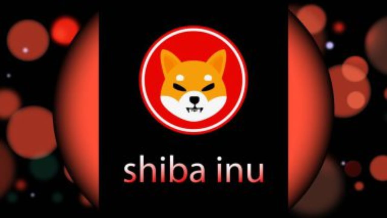 Shiba Inu (SHIB) Nearing Potential Return Amid Rising Kill Rate and Changing Stock Market ...