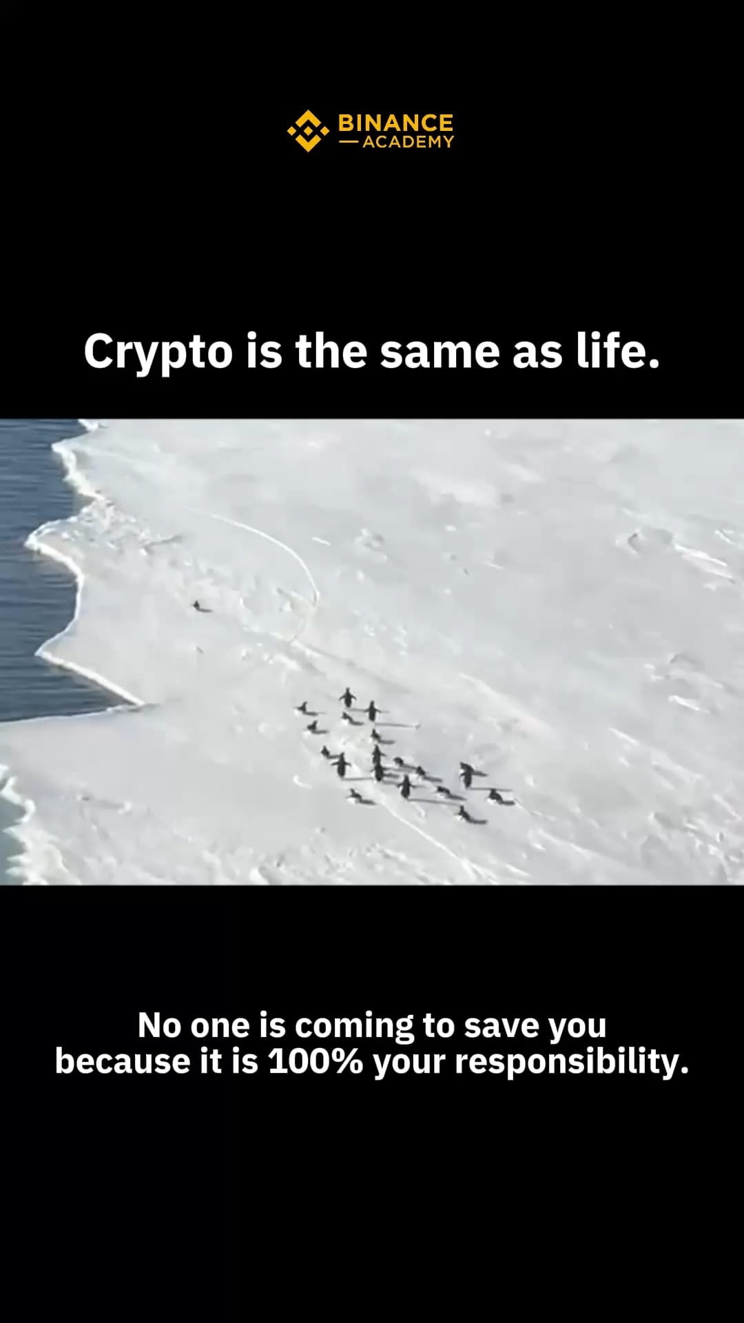 Don't let yourself down, learning and researching crypto is very important! #BinanceExchange # ...