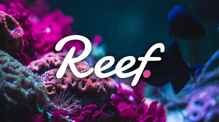 Binance Announces REEF Token Delisting. | davut1karabulut on Binance Square