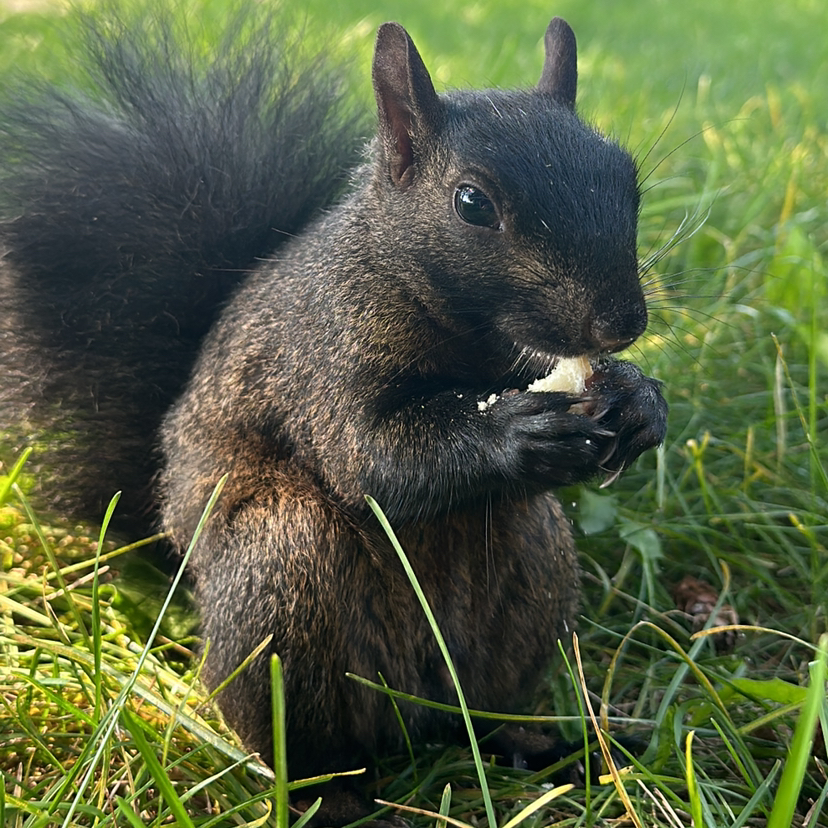 sv58's Profile | Binance Square