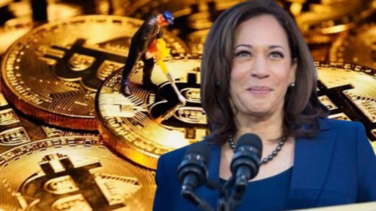 Kamala Harris ignores Bitcoin mining company's request, Marathon CEO ...