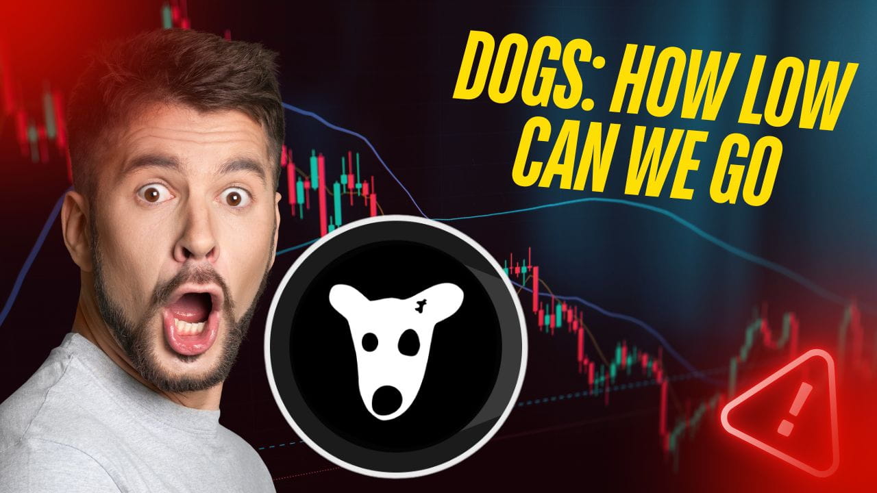 $DOGS BREAKDOWN TARGETS[ HOW LOW CAN WE GO] GET READY NOW | Teshkid is ...