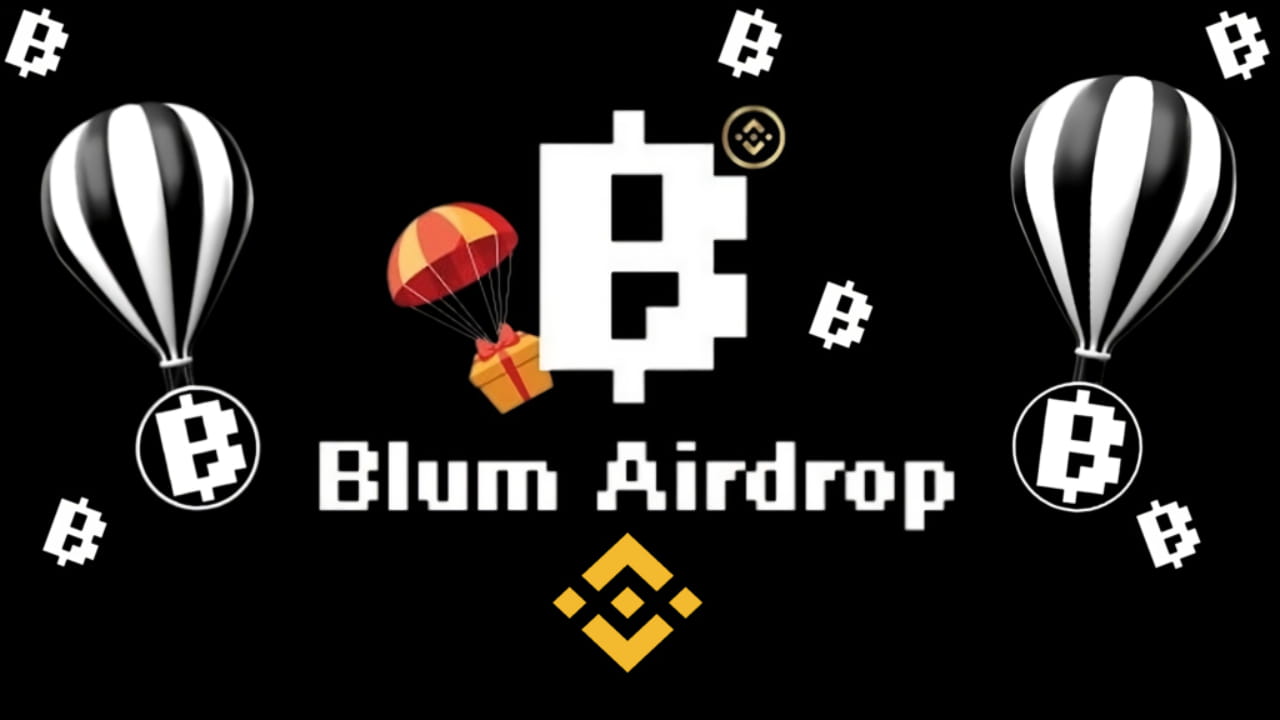 Blum Coin Launch: What to Expect and Price Prediction | blogtienso on ...