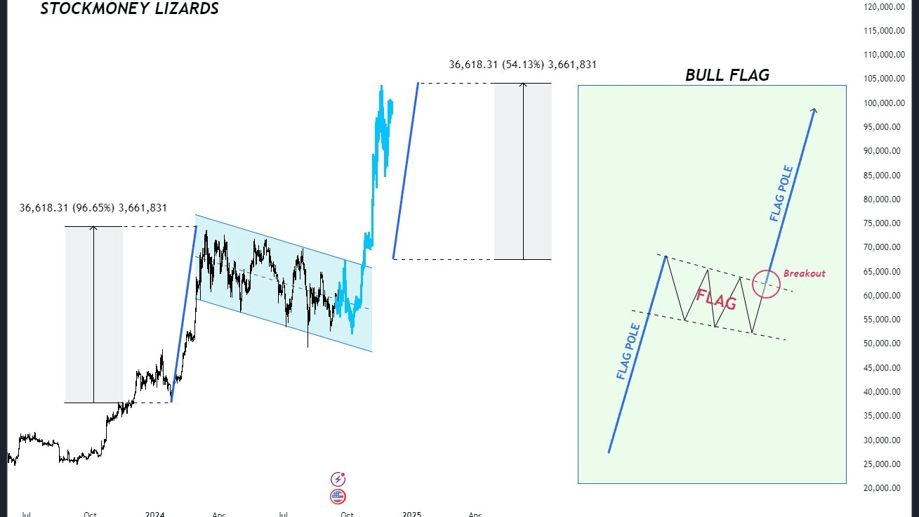 Bitcoin Classic Bull Flag: Q4 2024 Rally Could Push Prices to $100K | Trading Heights on Binance ...