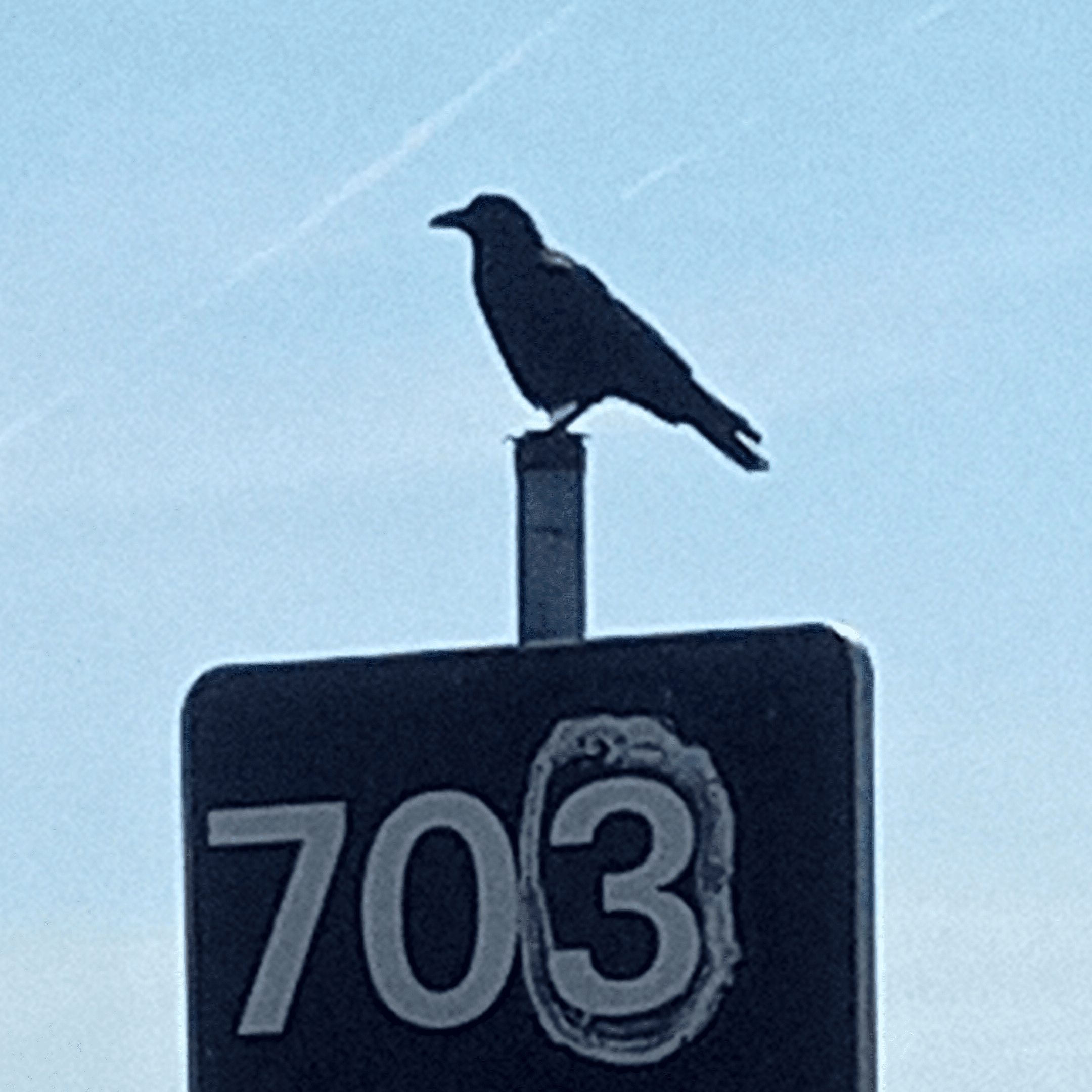 Loser_Number_1_Always fail's Profile | Binance Square