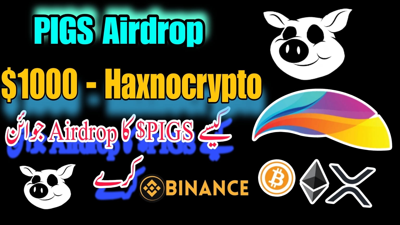 What Is #pigs ? PIGS is a community-driven cryptocurrency project that ...