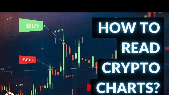 Como ler gráficos de criptomoedas — um guia para iniciantes. | Expert ...