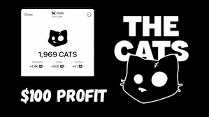 How to Sell Your $CATS Token at the Best Value | Cryptovers on Binance ...