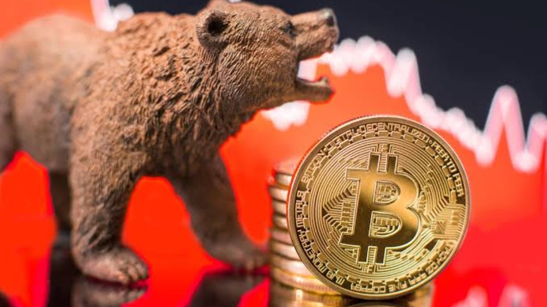 2 Cryptocurrencies to Buy in This Bear Market for 10X Gains | Crypto ...