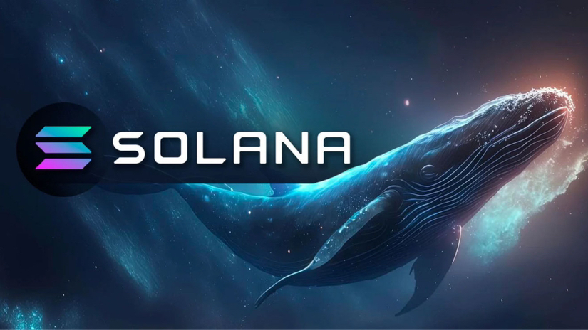 🐳Whales are attacking Solana (SOL)!👑 | CriptoWade on Binance Square