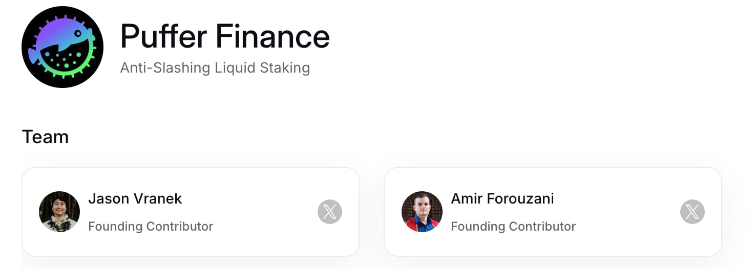 Puffer Finance - the project with the most potential and worth ...