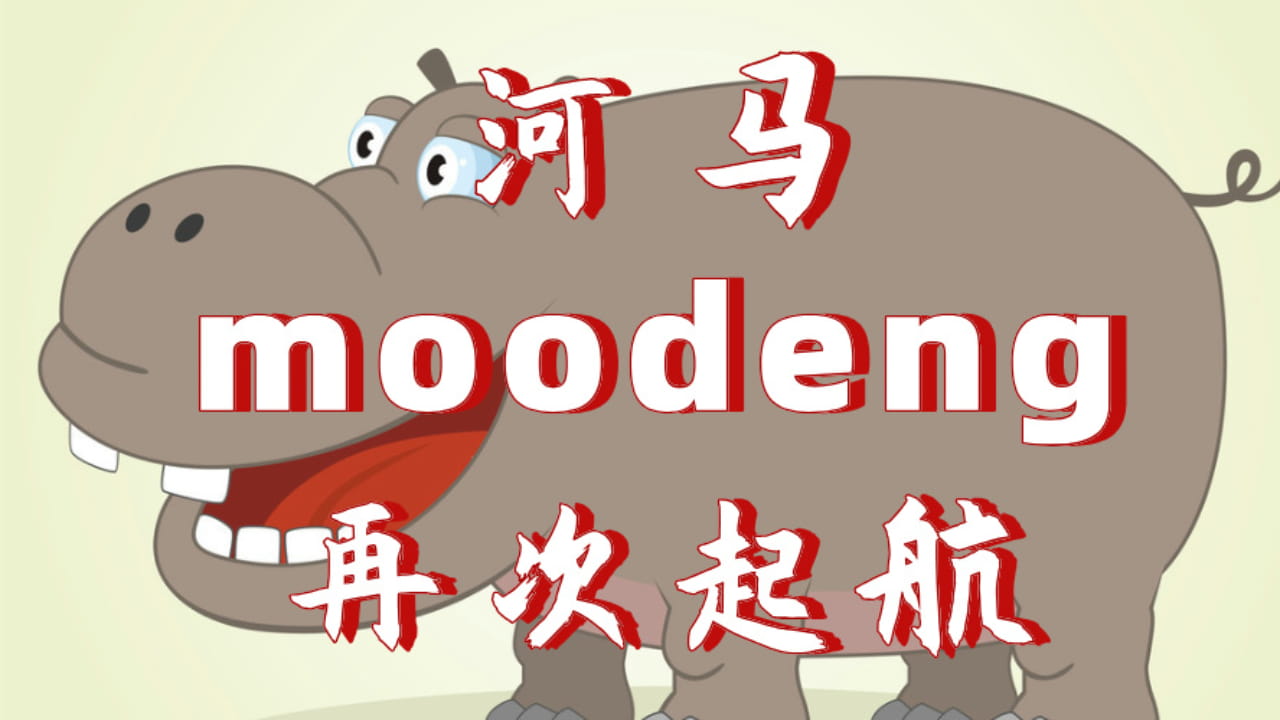 Solana eco-coin Hippo moodeng sets sail again. Has moodeng's callback ...