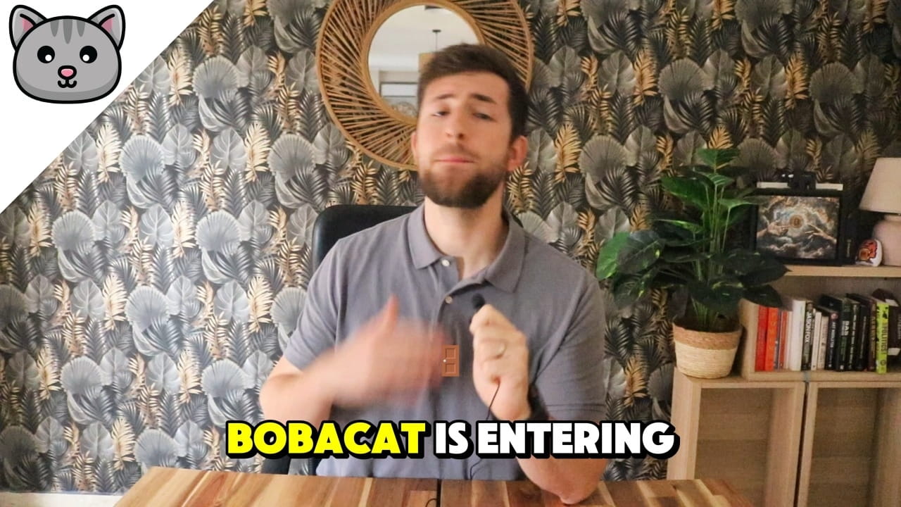 BobaCat is heading into Q4 with major plans to expand its real-world ...