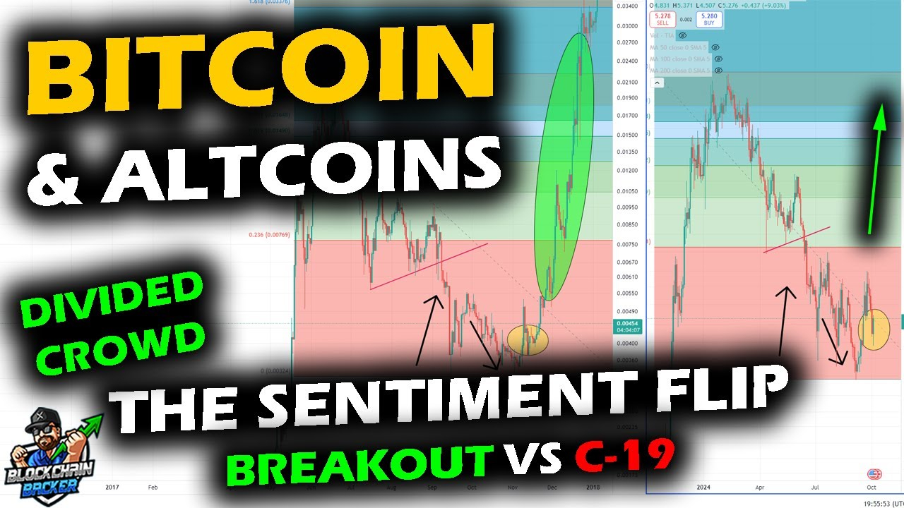 Bottom Formations Abound for Altcoin Market & Bitcoin Price as Crowd ...
