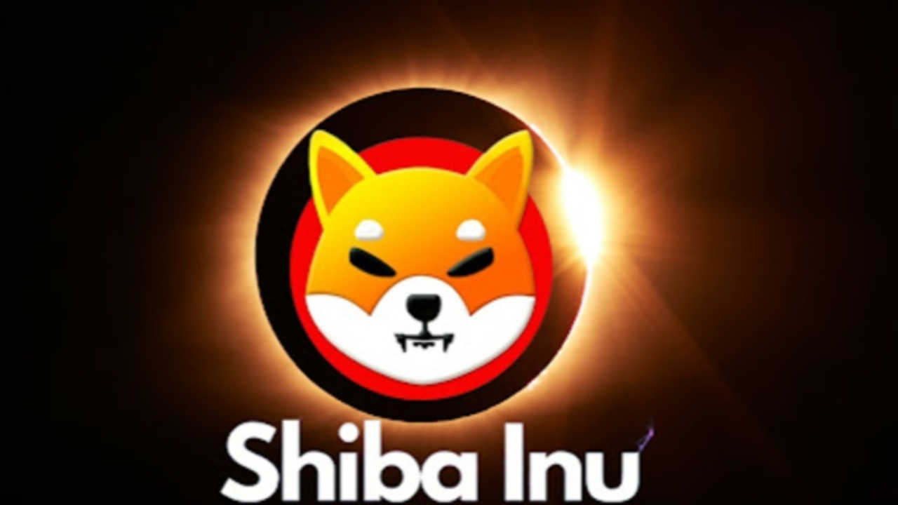 Shiba Inu (SHIB) Price Shows Rare Patterns, Is a Doubling Opportunity ...
