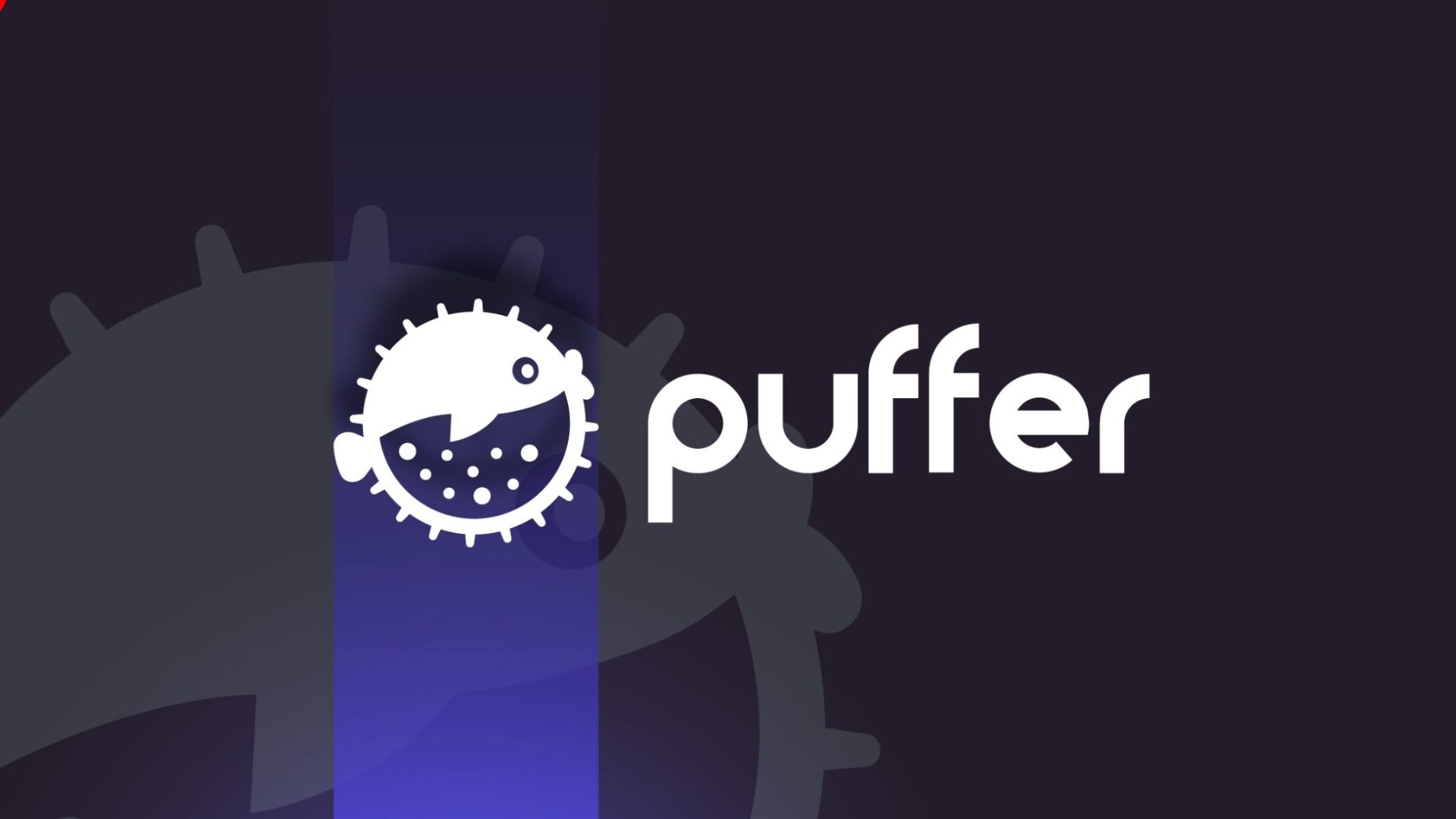 What is Puffer Finance? 5 Things You Need to Know About PUFFER Token ...