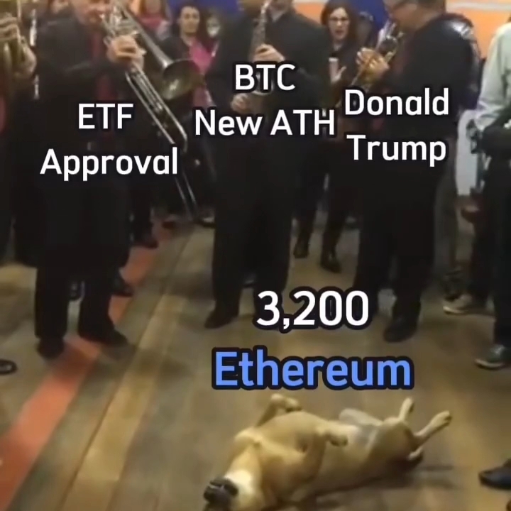 😂🤣🤣 $ETH #ETHETFsApproved #BTCNewATH #donaldtrump #memes | King of ...