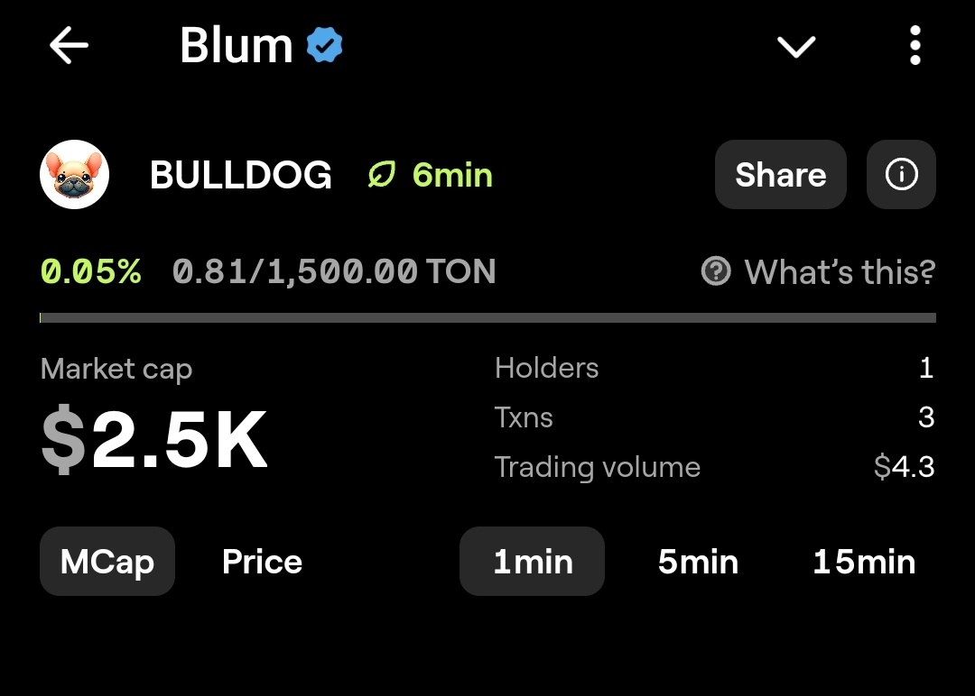 Blum Memepad has announced a user-friendly platform supporte ...