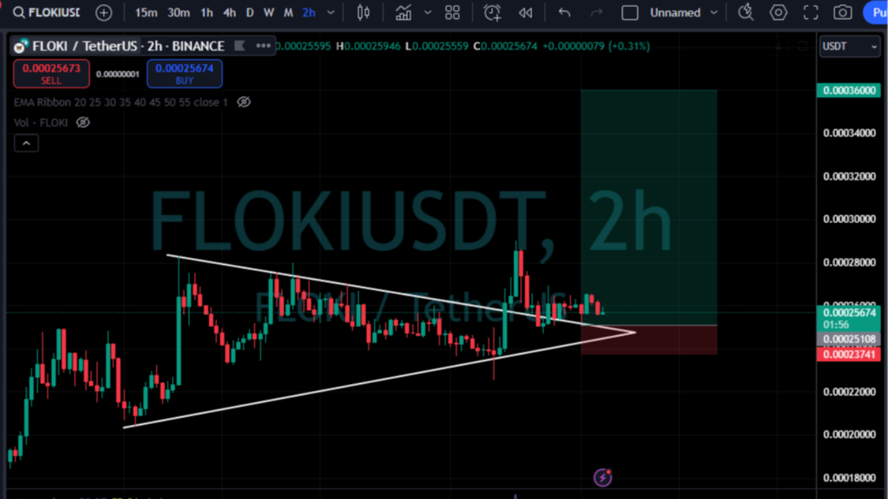 FLOKI Coin Analysis | SwapCrypto on Binance Square