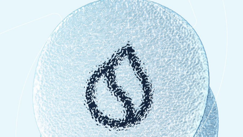 Sui Ecosystem sSUI Launches, Earn Points from Liquidity Staking for ...