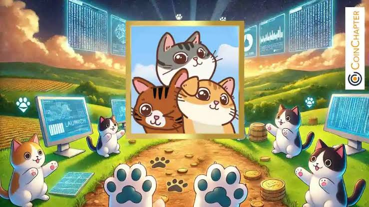 Catizen (CATI) Coin Overview | AhMeDFaTHi on Binance Square