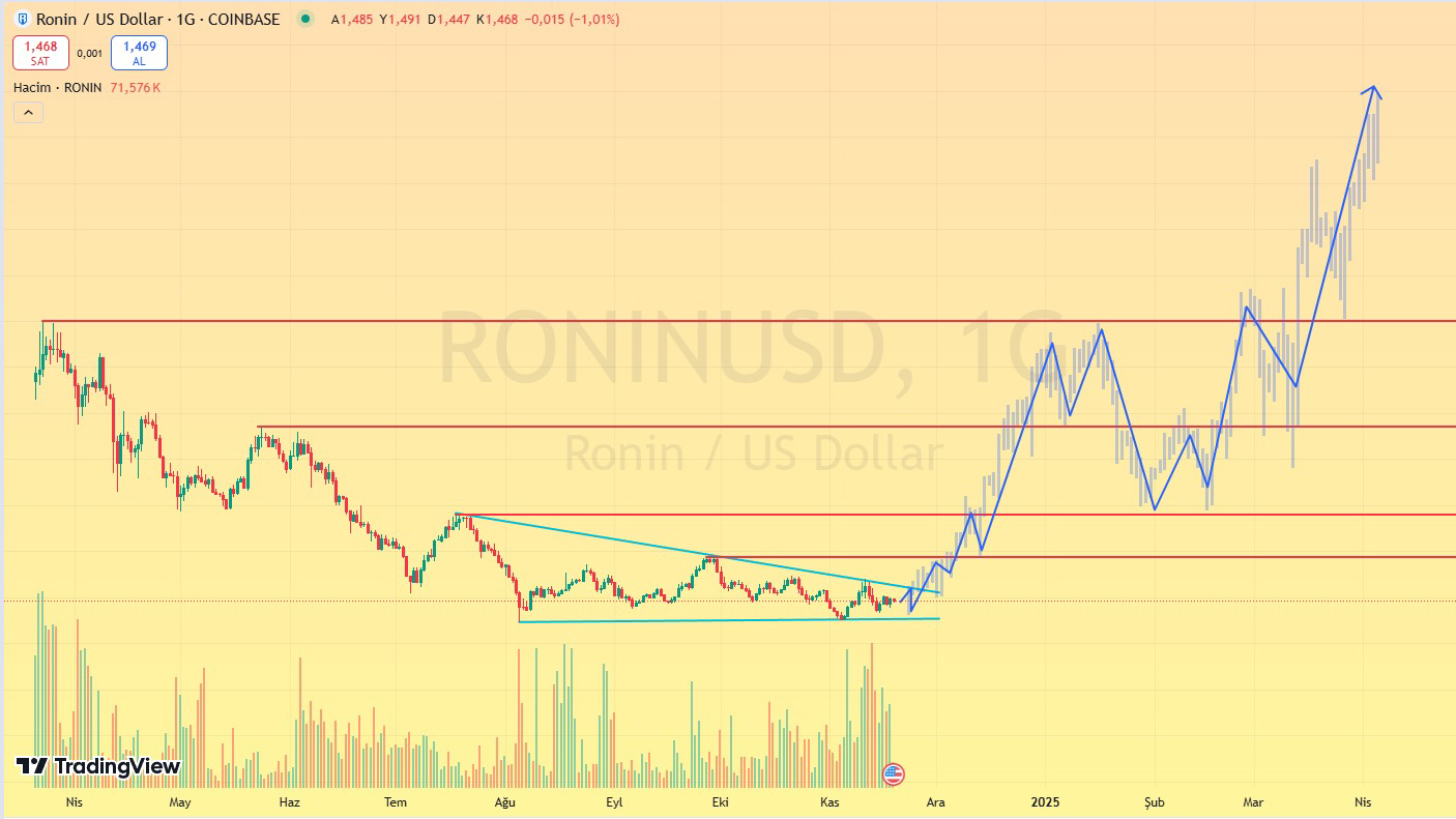 Ronin Coin: The Next Big Thing in Blockchain Gaming? | MrSerhat on ...
