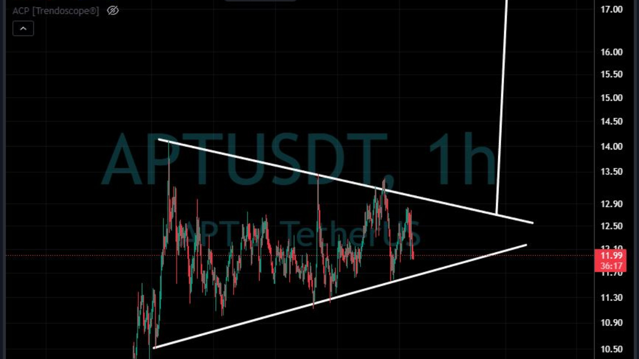 APT Coin Analysis | CryptoCove on Binance Square