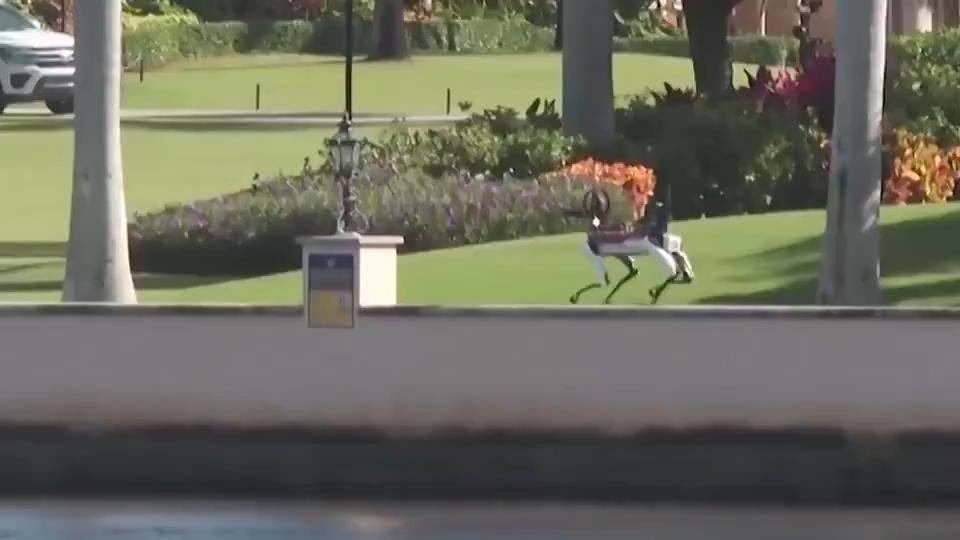 JUST IN: 🇺🇸 US Secret Service deploys robotic dogs at President-elect ...