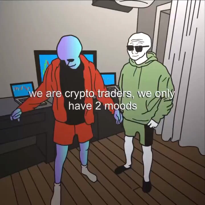 Crypto Bros Only have 2 Moods 😂🔥 #Cryptotrends2025 #memes | Basit911 on ...