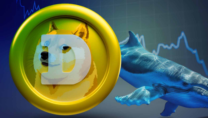 Doge Price Drops 12% As Whale Moves Of $59 Million Doge pri | Cryptos Headlines on Binance Square