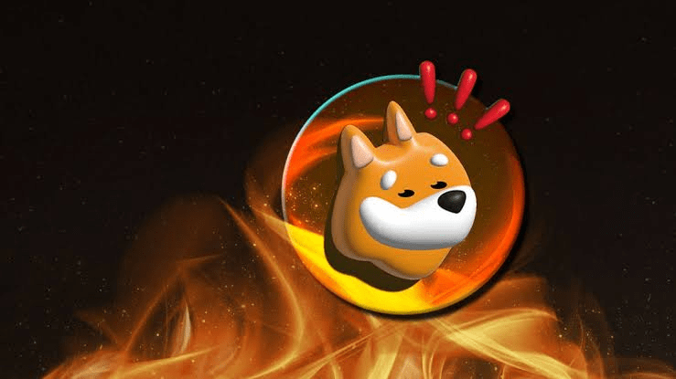 BONK Burns 949.14 Billion Tokens in Game-Changing Move! 🔥💥 What is a ...