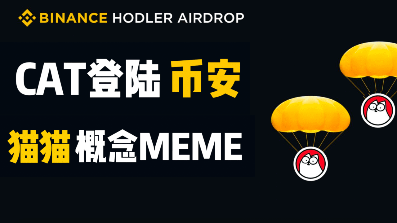 Binance's latest Holder airdrop $CAT! Web2 celebrity cats land on ...