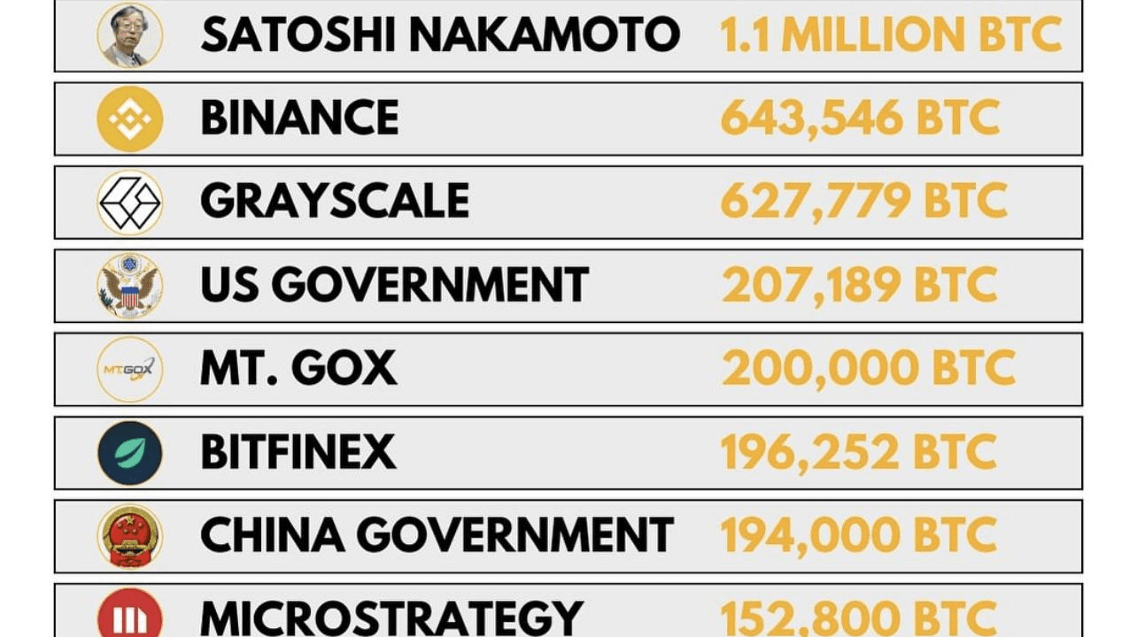 Le Bitcoin vient d’atteindre 106 000 $, mais qui possède le plus de Bitcoins ...