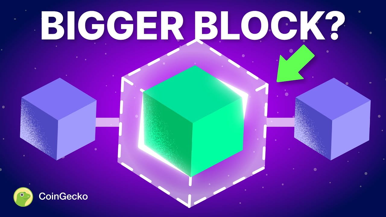 Bitcoin Block Size Debate - Why It Sparked a Crypto War | Roseline Yovino AVTS on Binance Square