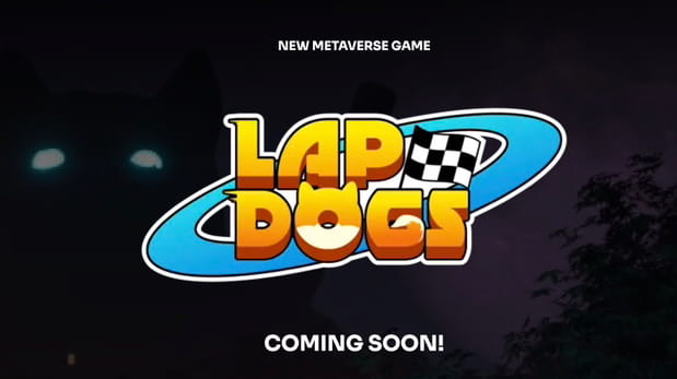 Lap Dogs: A Shib-Themed Racing Game Lap Dogs is a kart racing game ...