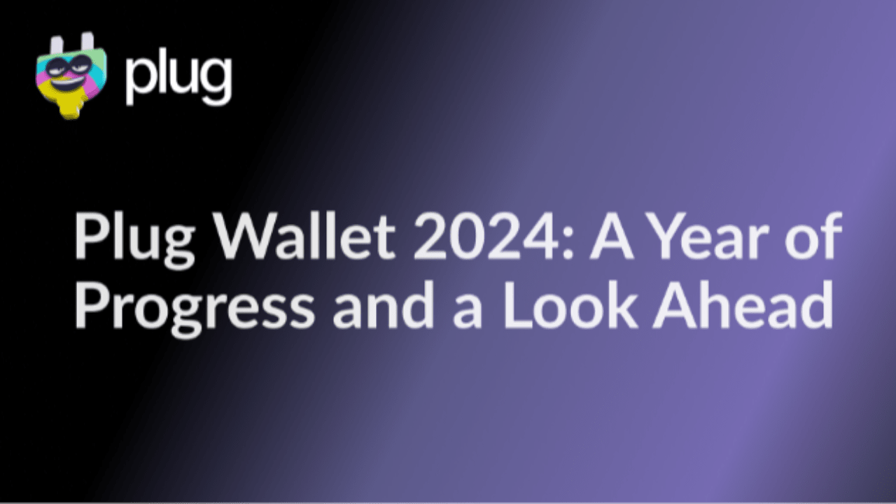 Plug Wallet 2024: A Year of Progress and Looking Ahead | IC on Binance ...