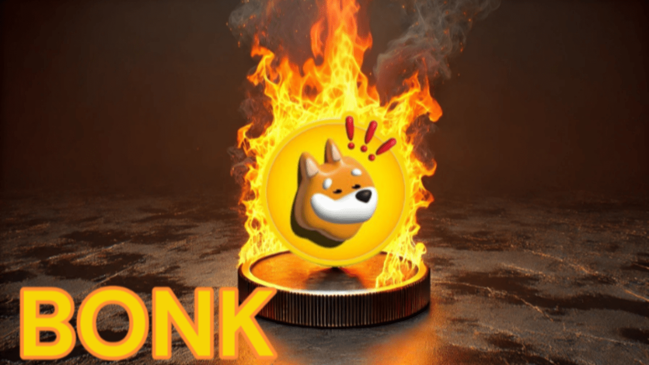 BONK Drops 7% Despite $51 Million Worth of Tokens Burned During BURNmas ...