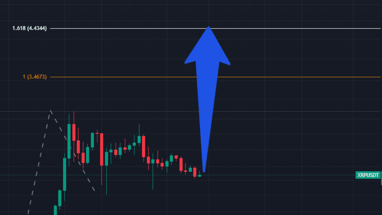 XRP COIN SIGNAL | Crypto novice on Binance Square