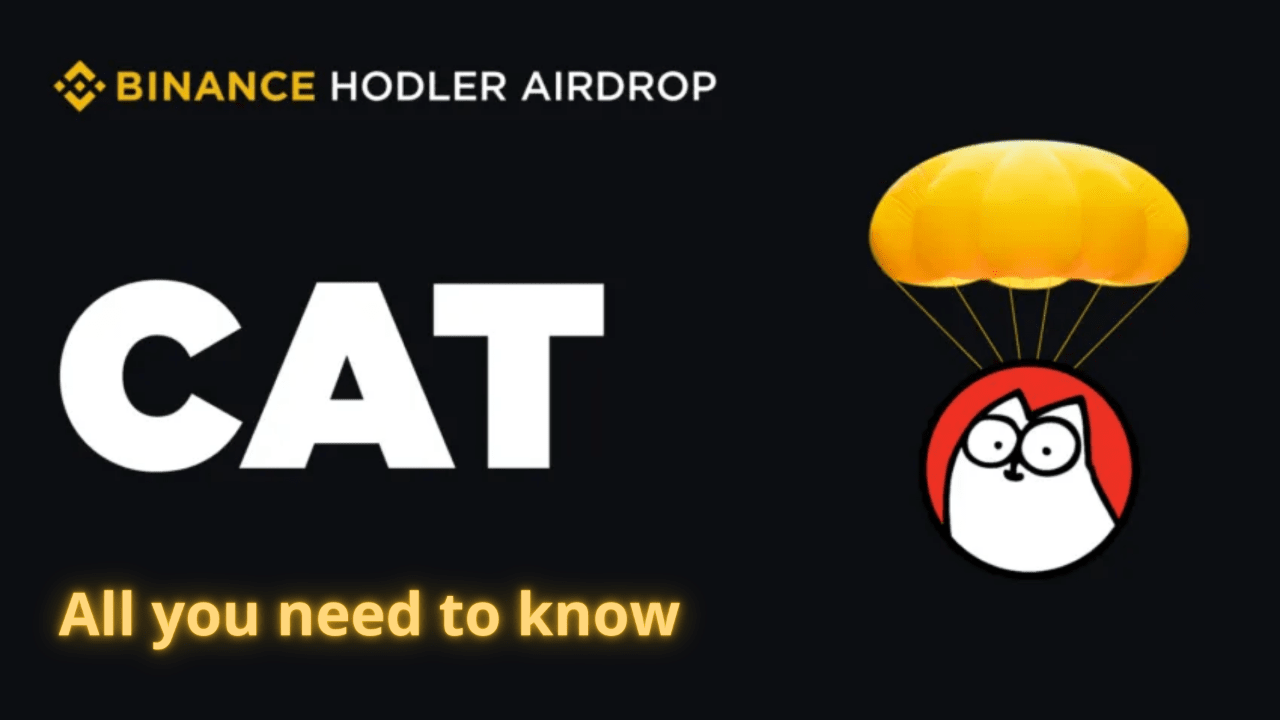 All you need to know about Simon’s Cat? | Crypto Insights on Binance Square