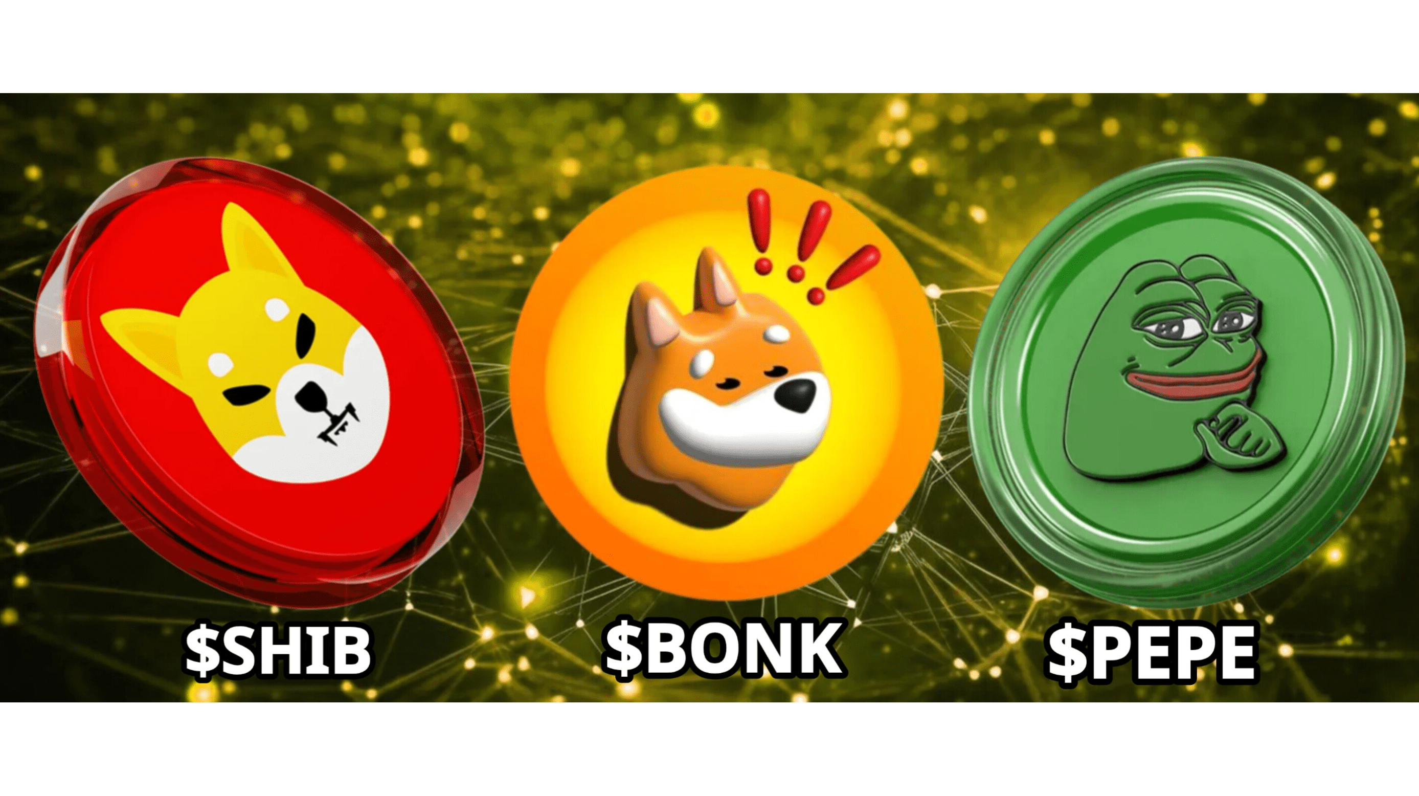 Is $PEPE,$SHIB,$BONK going to be profitable in 2025? | Mirsaeed_91 on ...