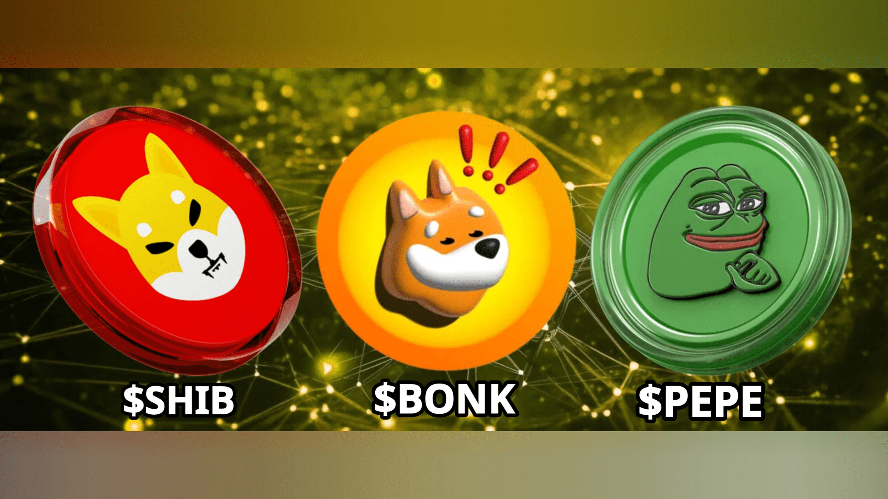 $PEPE,$SHIB,$BONK: Who Will Win The Race Before End Of 2024? | Mirsaeed_91 on Binance Square