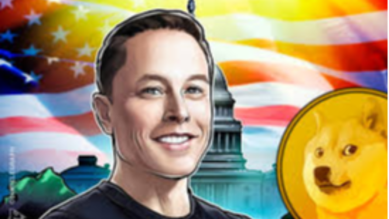 Musk's VC Brotherhood Seizes DOGE Committee; Will the Blockchain ...