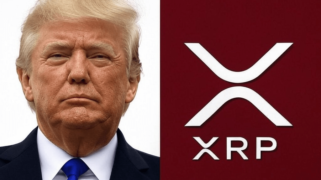 🚀🚀 Trump is in ️ with XRP & SOLANA... The secret meetups... they're ...